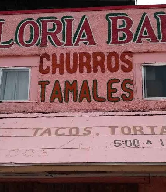 tiny michigan bakeshop tamales ftr