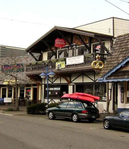 tiny norwegian town washington ftr