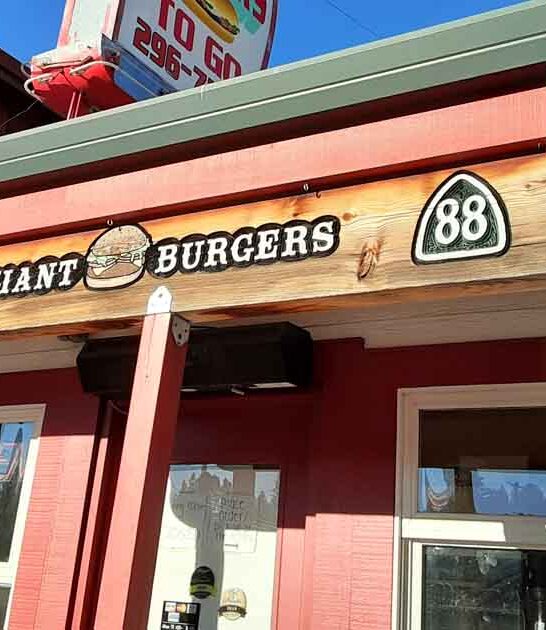 tiny roadside burger california ftr
