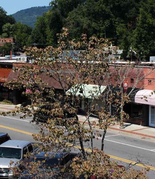 town retirement north carolina ftr