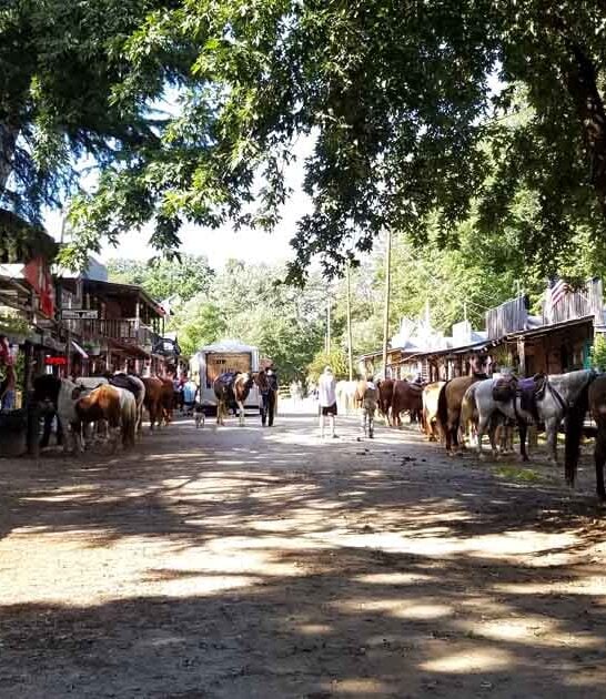town unique north carolina ftr
