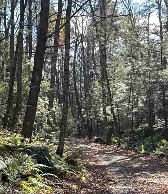trail gorge spot massachusetts ftr