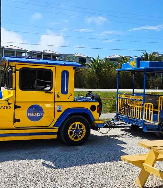 train ride scenic florida ftr