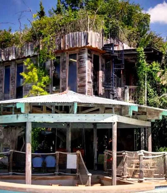 Spend The Night In A Treehouse Airbnb In Texas That Comes With Its Own Swim-Up Bar