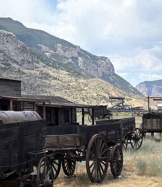 true cowboy spots oregon ftr