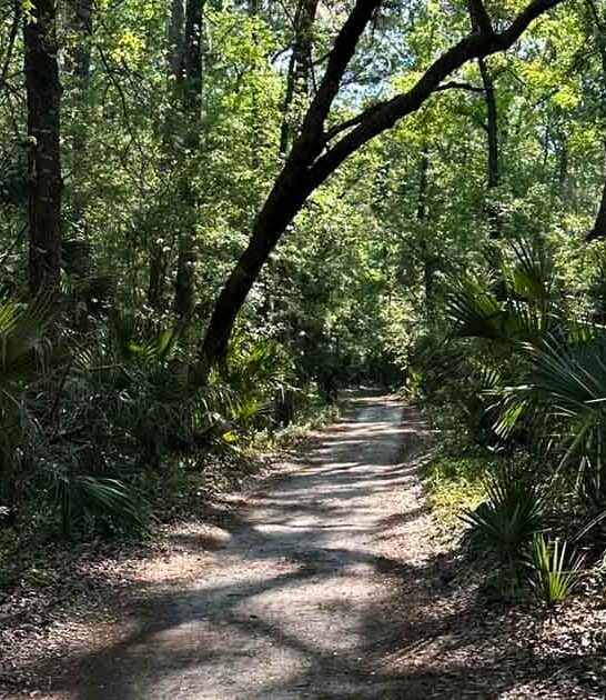 underappreciated river trail florida ftr