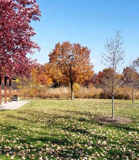 The Underrated Illinois Park That&rsquo;s Teeming With Wildlife