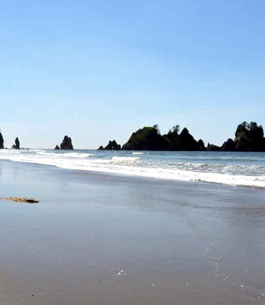 undiscovered beach washington ftr