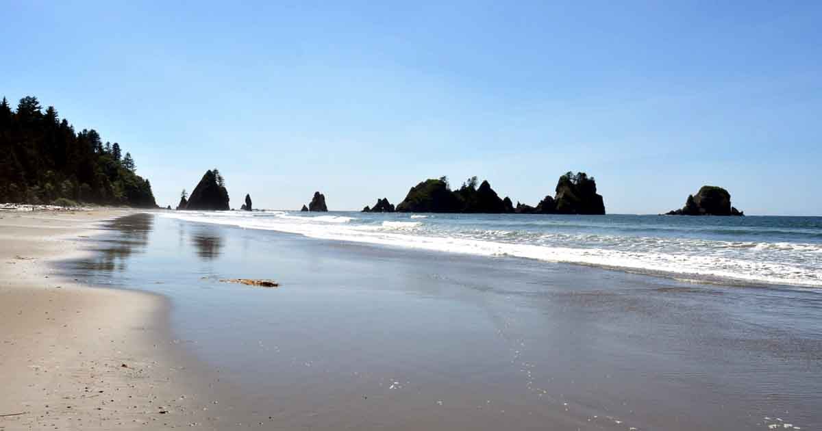 The Undiscovered Beach In Washington That'll Make You Forget All Your ...