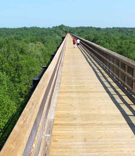 unforgettable bridge walk virginia ftr