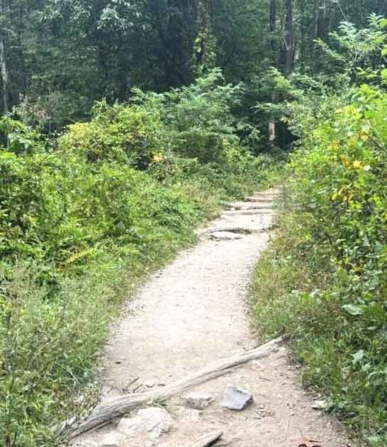 unforgettable maryland hike experience ftr