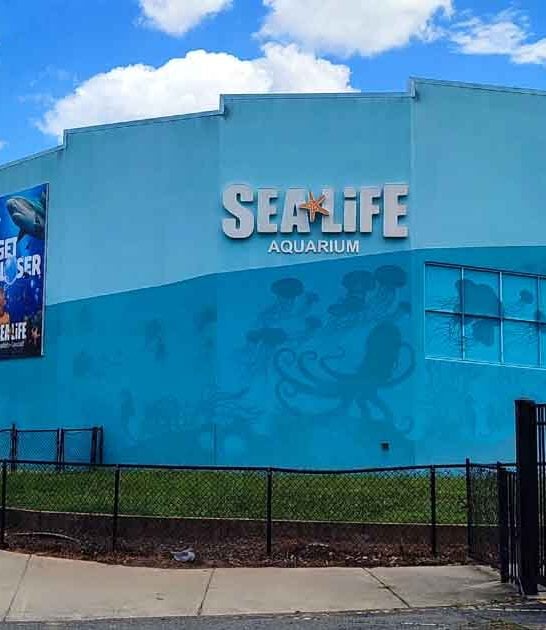 unforgettable north carolina aquarium ftr