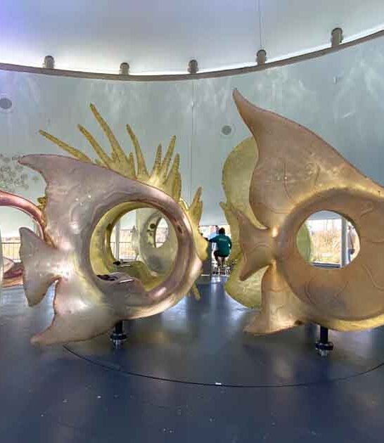 unique attraction new york ftr