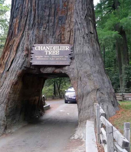 unique experiences california ftr