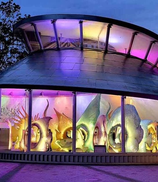 unique new york attraction ftr