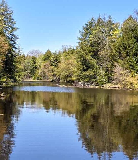 unknown state park wisconsin ftr