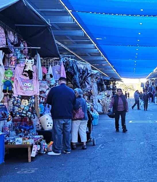 vast arizona flea market ftr