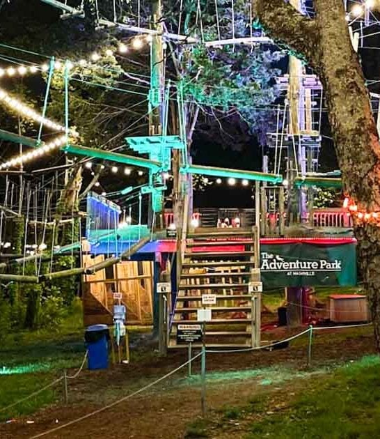 virginia adventure park glow ftr