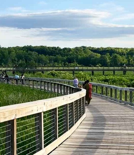virginia boardwalk trail views ftr