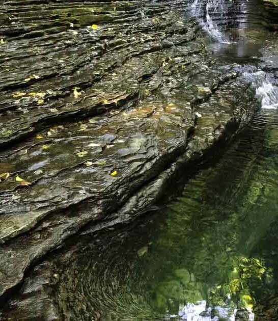 virginia crystal clear lagoon ftr