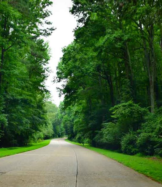 virginia dreamy drive experience ftr