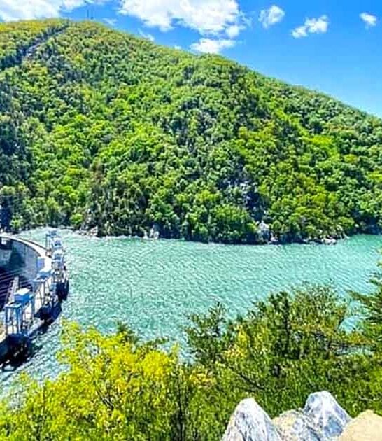 virginia east coast lake ftr