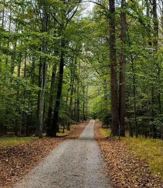 virginia fascinating state park ftr