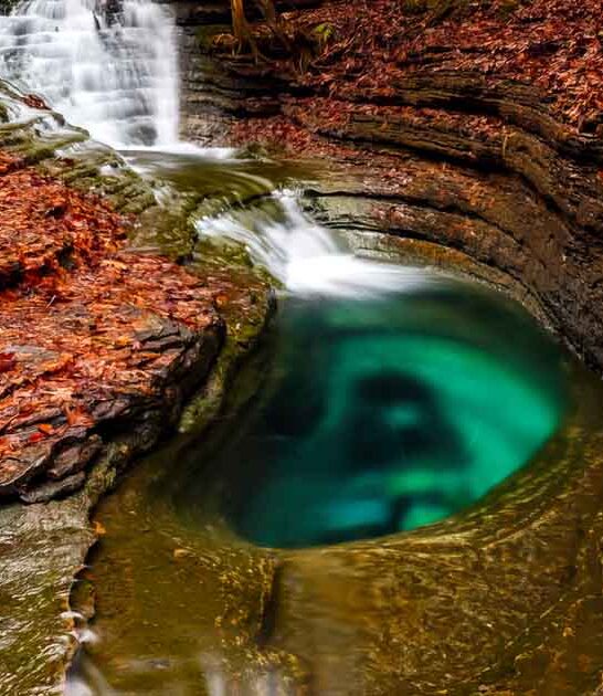 virginia hidden lagoon spot ftr