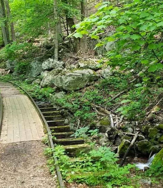 virginia logging railroad hike ftr