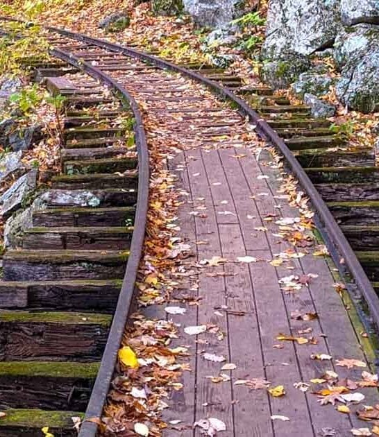 virginia logging railroad trail ftr