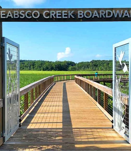 virginia overlooked boardwalk trail ftr