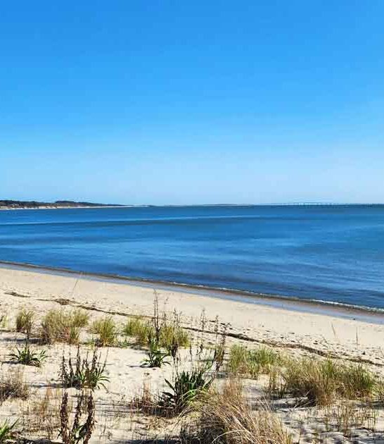 virginia secluded dreamy park ftr