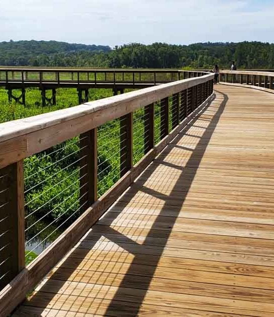This Secret Boardwalk Trail In Virginia Will Lead You To The Most Stunning View In The State