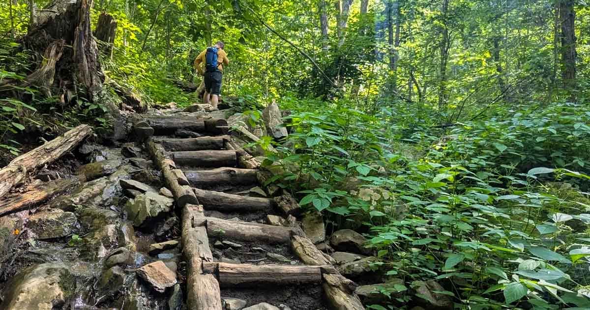 This Short But Stunning 1.5-Mile Hike In Virginia Ends At A Magnificent ...