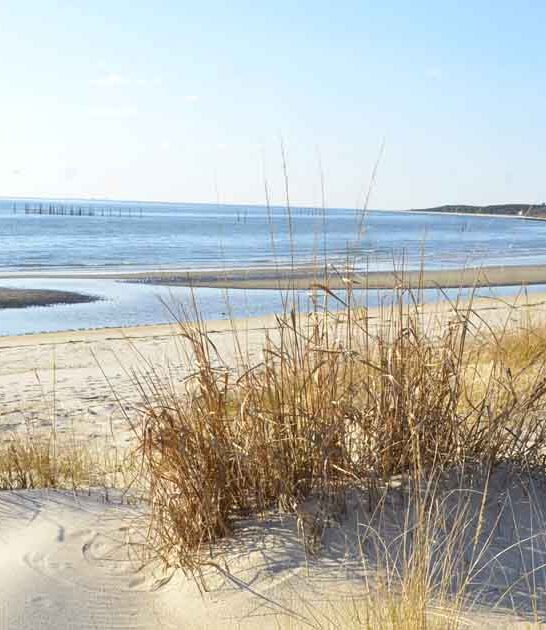 virginia stunningly secluded park ftr