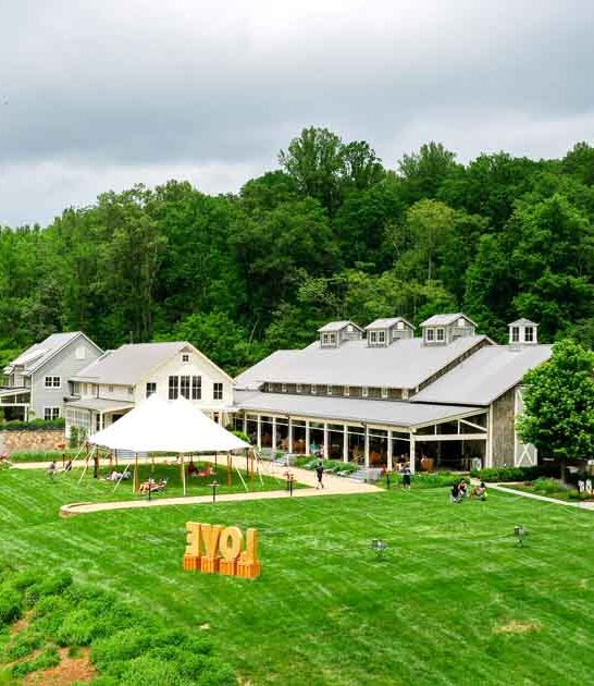 virginia winery day trip ftr