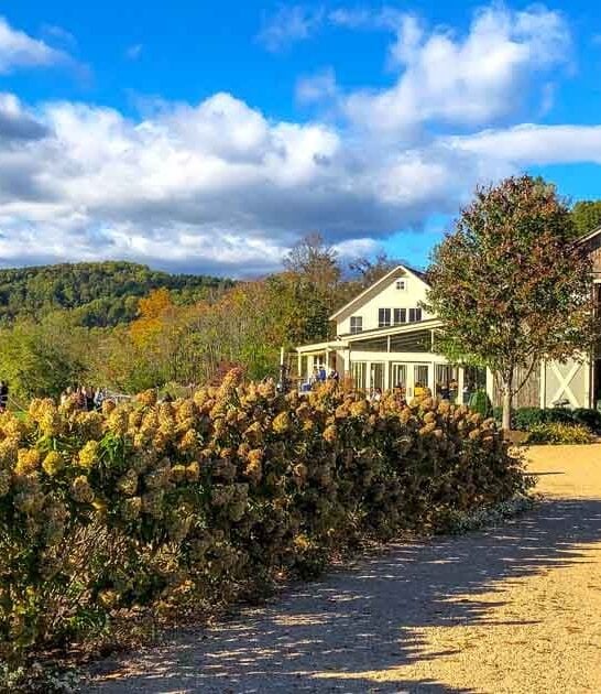 virginia wonderfully remote winery ftr