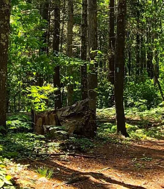 visit connecticut underrated park ftr