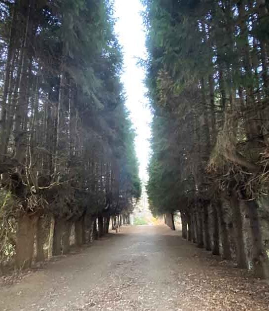 visited massachusetts underrated park ftr