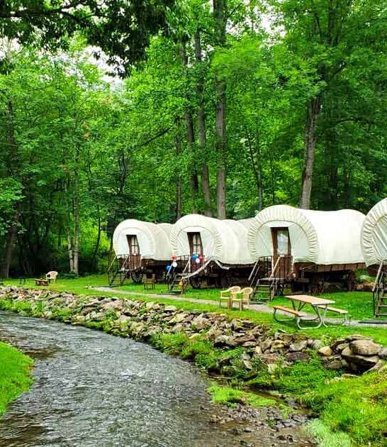 wagon resort north carolina ftr