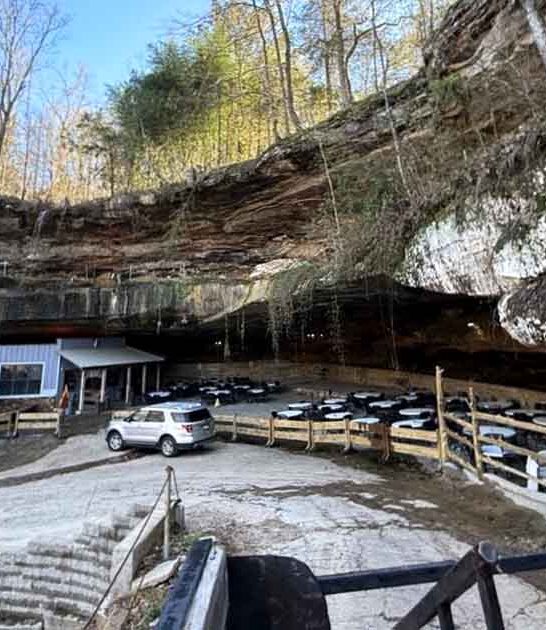 walk weird alabama adventures ftr