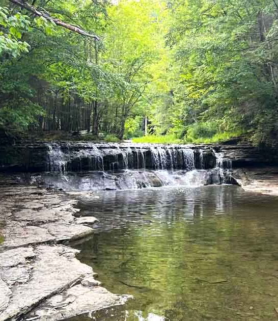 walking trails new york ftr