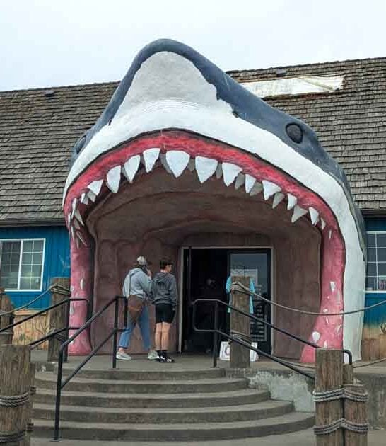 washington bizarre surprise spots ftr