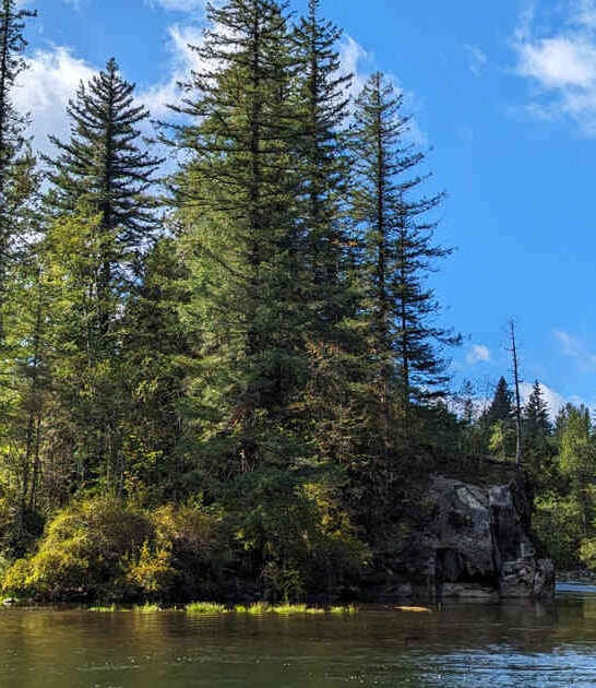 washington discover fascinating park ftr