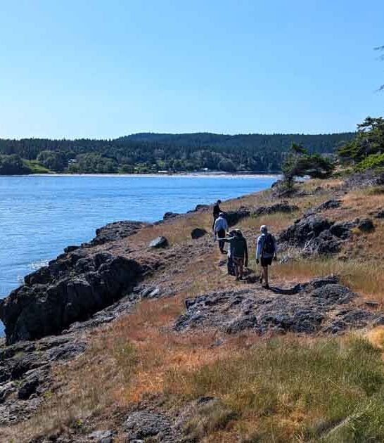 washington dreamy state park ftr