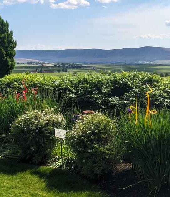 washington european estate winery ftr