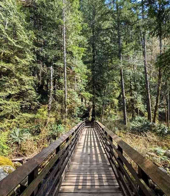 washington forest waterfall hike ftr