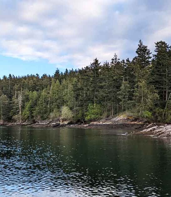 washington island nature escape ftr