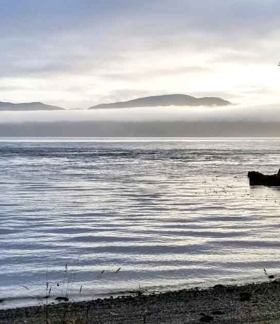 This Stunningly Secluded Washington State Park Will Make You Never Want To Leave