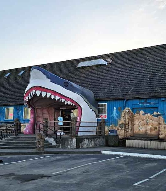 washington quirky adventure spots ftr
